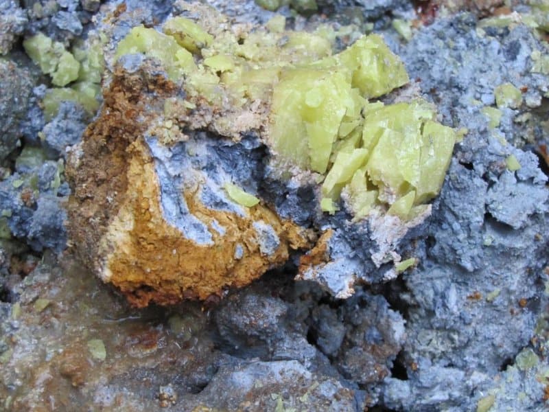 An Ancient Antibacterial Oregon Blue Clay Might Hold The Key To Future ...