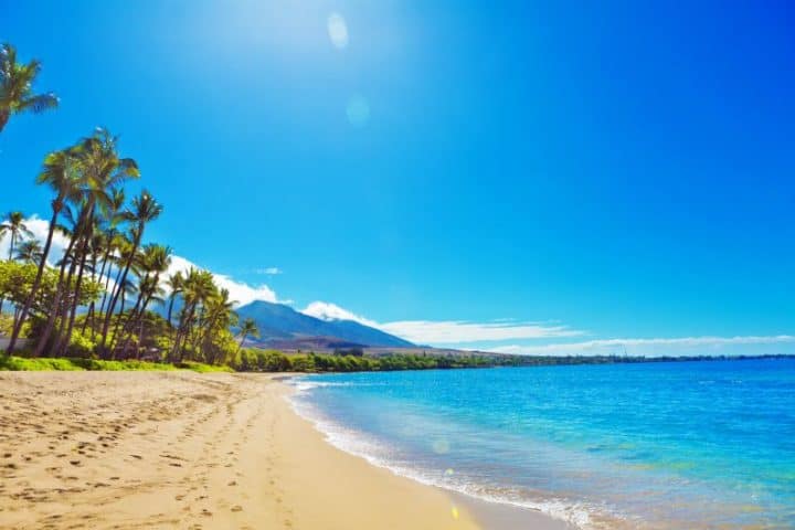 Which Beaches You Should Fly To Meet Celebrity